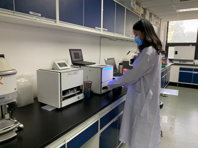 KASP marker library for genetic diversity analysis in Brassica rapa