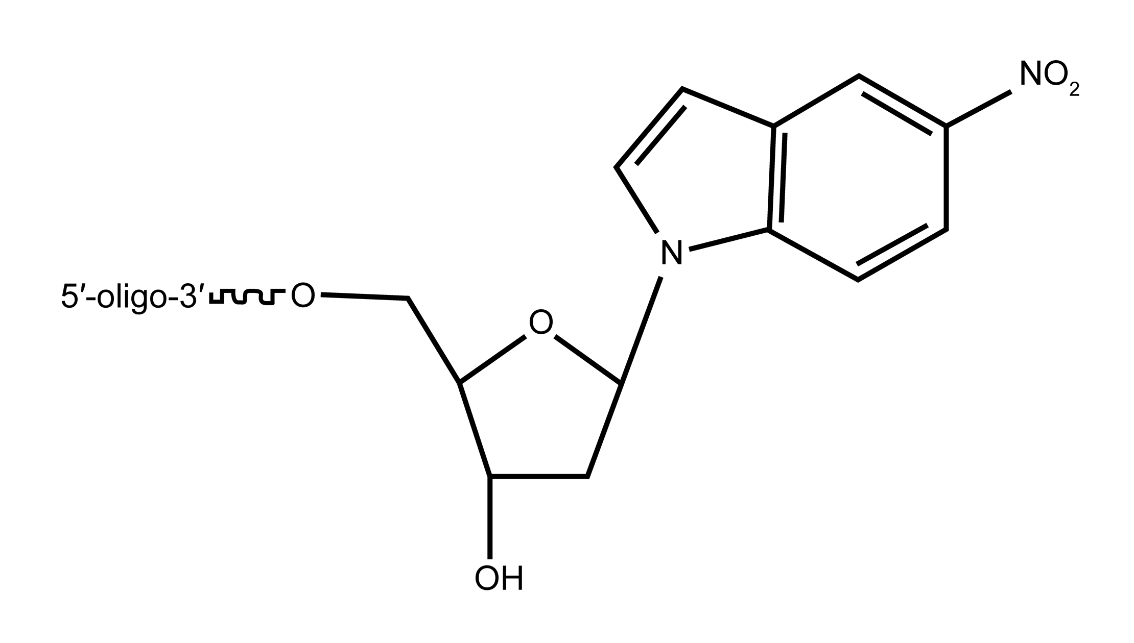 5-Nitroindole – a universal base oligo modification - LGC