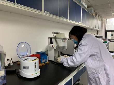 KASP marker library for genetic diversity analysis in Brassica rapa