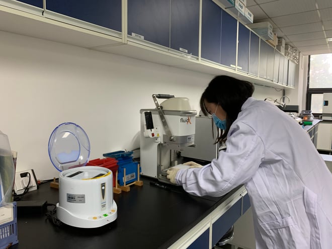 KASP marker library for genetic diversity analysis in Brassica rapa