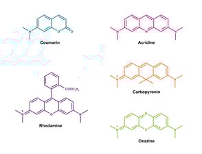 Know your oligo mod: ATTO dyes
