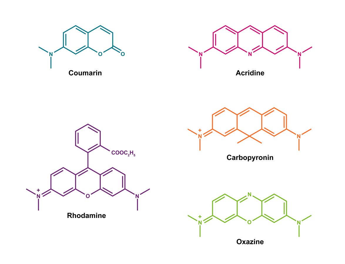Know your oligo mod: ATTO dyes