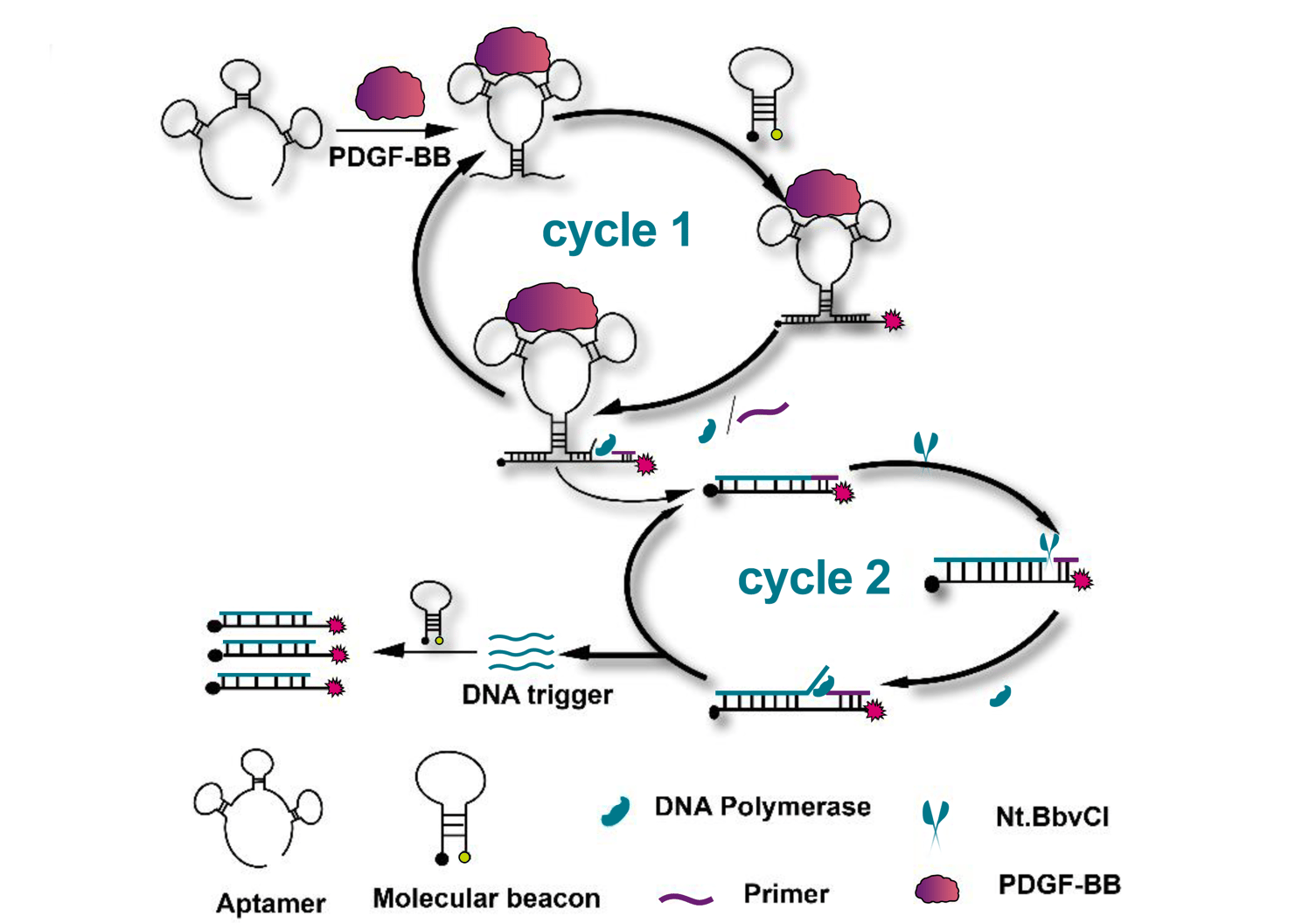 What’s next for aptamers in diagnostics?