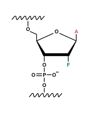 Know your oligo mod: 2ʹ-MOE