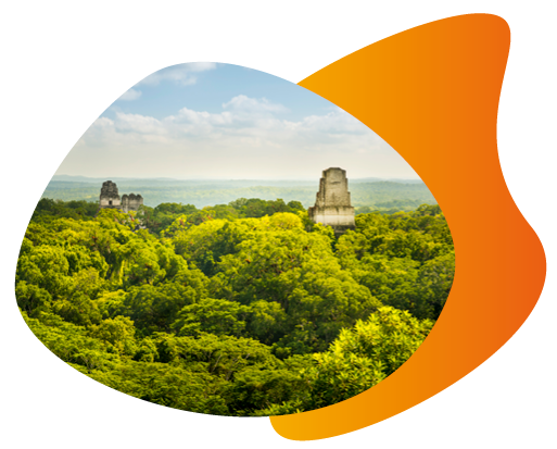 A revolution in eDNA using targeted probe hybridisation technology