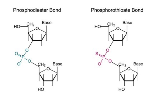 Nucleic Acid Therapeutics Toolbox: Mipomersen, the first gapmer