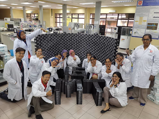 Sustainable Oil Palm Breeding Programmes Using Marker Selection