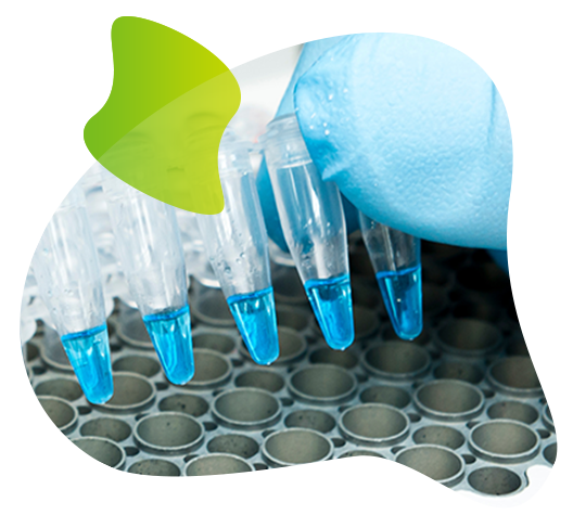 We answer your most common questions about MGB Probes