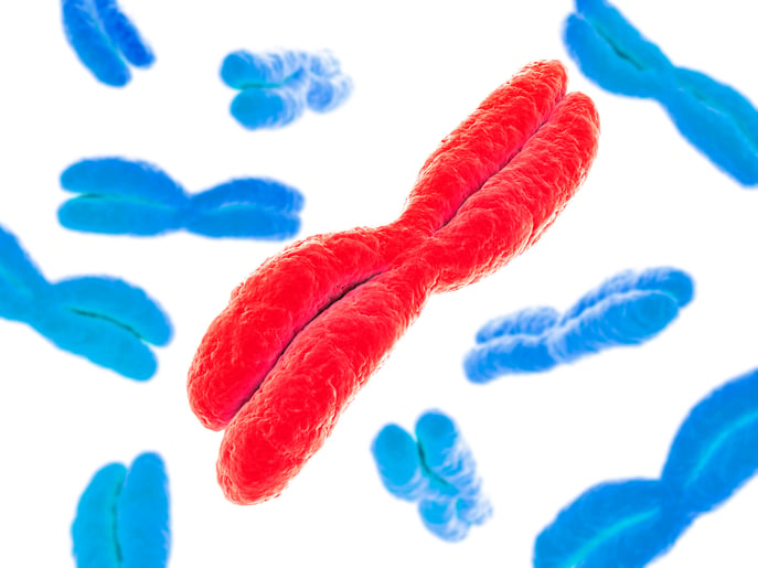 X Marks the Spot: A closer look at chromosomes - LGC
