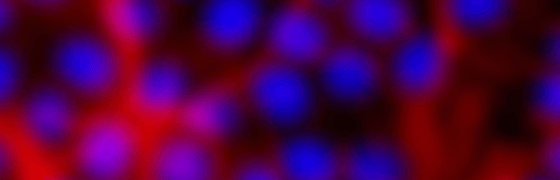 The BiosearchTech Blog