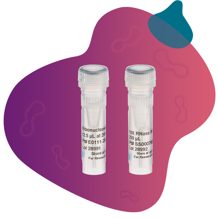 Why enzymes are the backbone of successful mRNA in vitro transcription