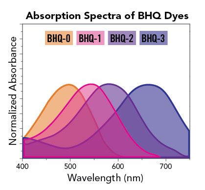 Know your oligo mod: BHQ® non-fluorescent quenchers