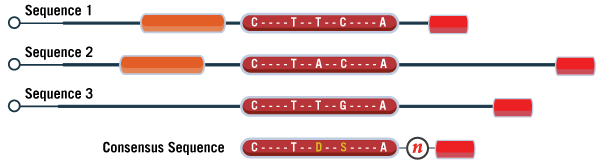 And the Consensus (Sequence) is... - LGC