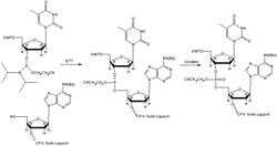 The AGCT’s of DNA synthesis - LGC
