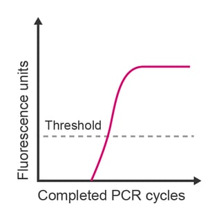 Troubleshooting qPCR: Interpreting Amplification Curves