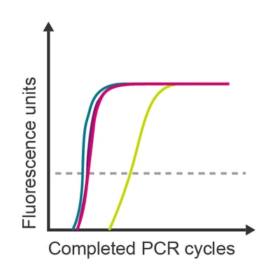 Troubleshooting qPCR: Interpreting Amplification Curves