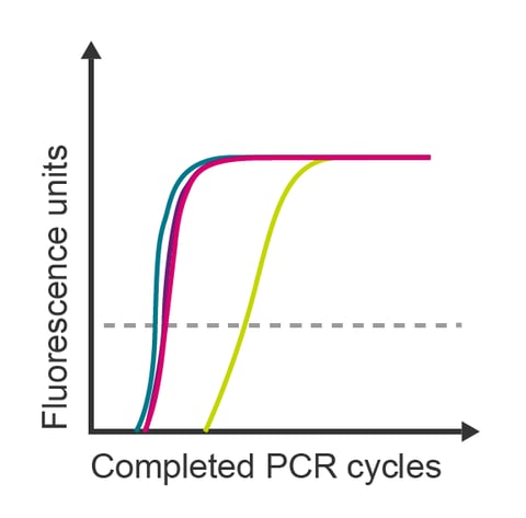 Troubleshooting qPCR: Interpreting Amplification Curves