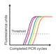 Troubleshooting qPCR: Interpreting Amplification Curves