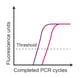 Troubleshooting qPCR: Interpreting Amplification Curves