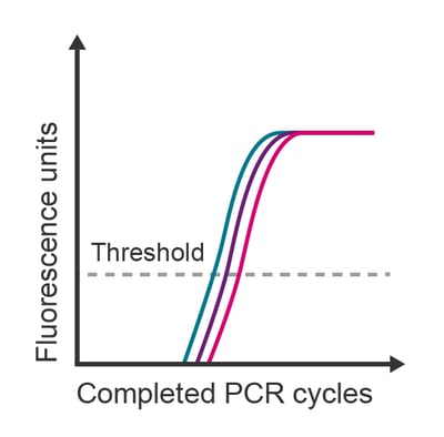 Troubleshooting qPCR: Interpreting Amplification Curves