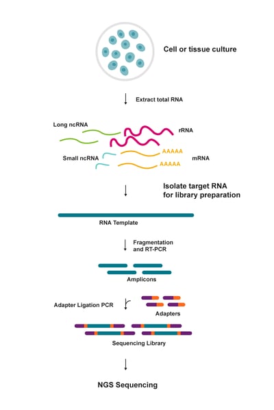 Molecular marvels: selecting the most suitable reverse transcriptase